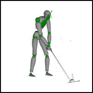 3D Analysis - Skilled Motion Labs